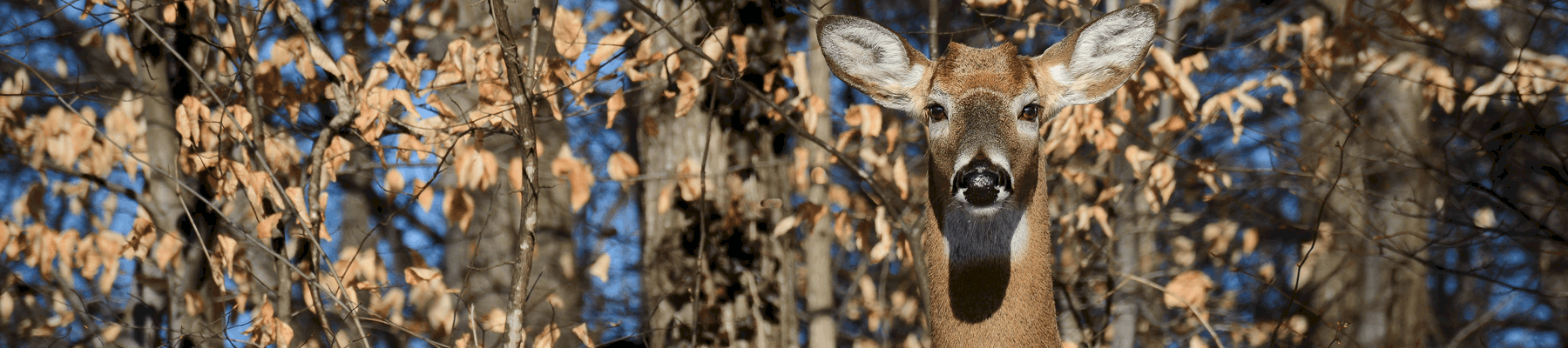 Home - Sugarland Run Homeowners Association