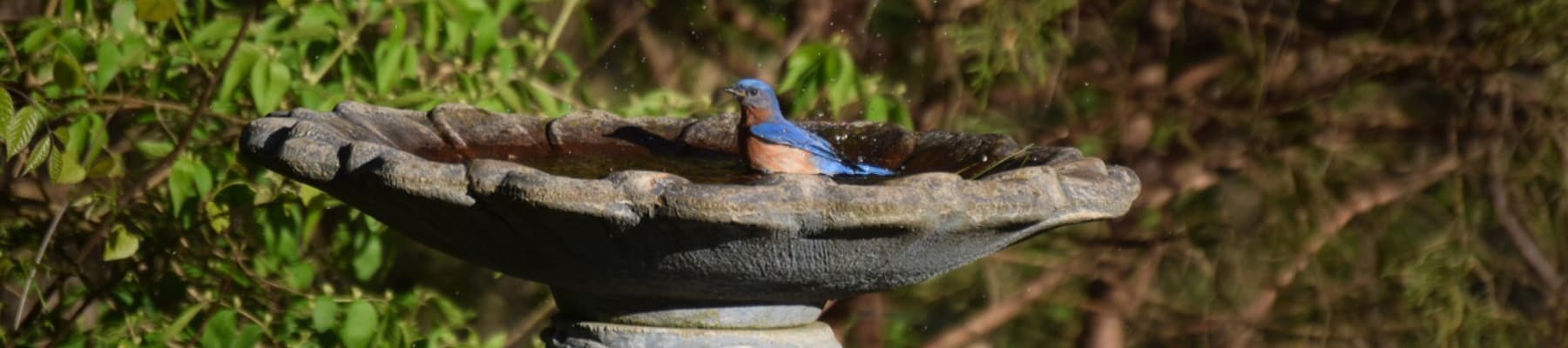 Home - Sugarland Run Homeowners Association
